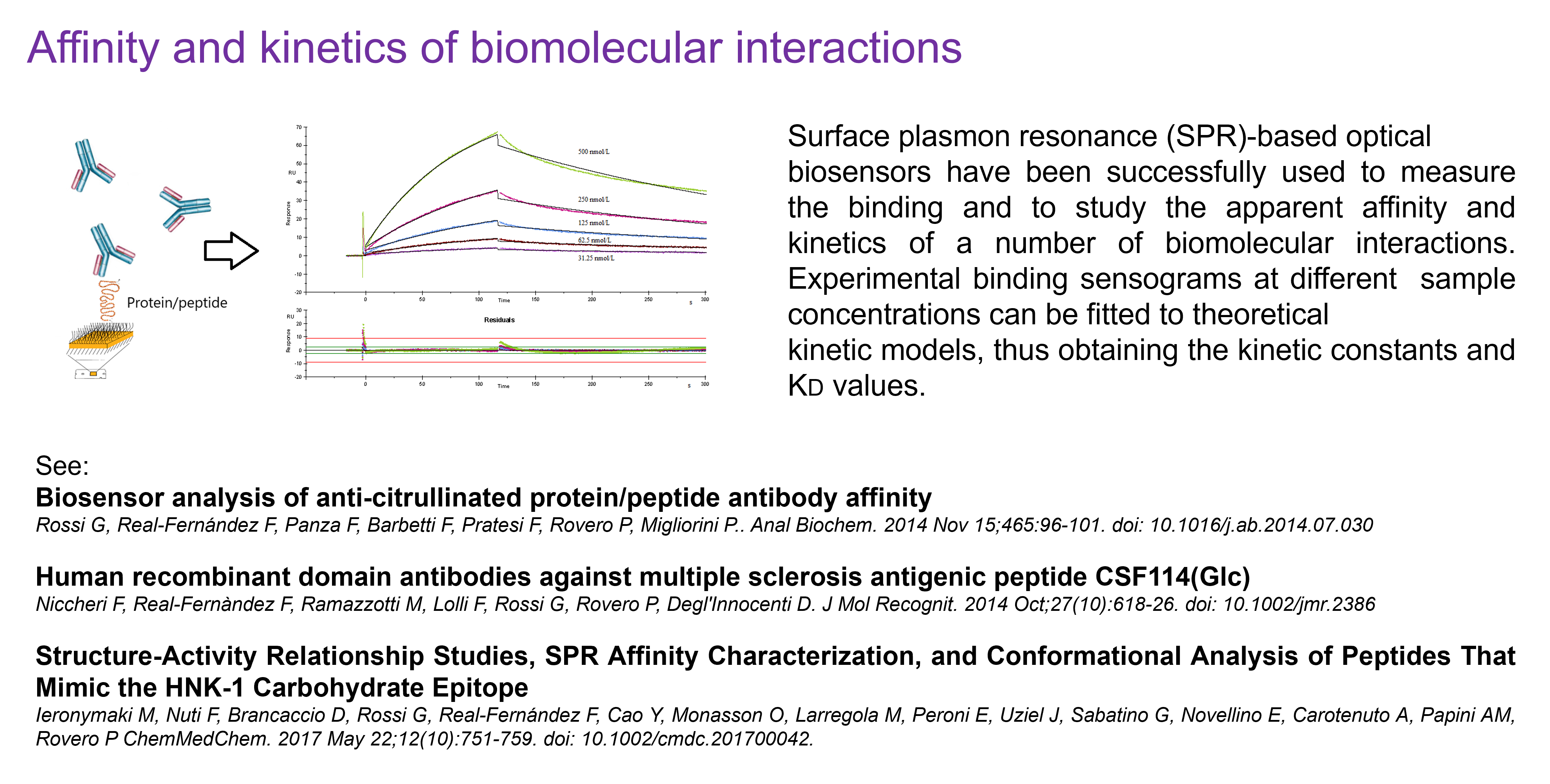 Affinity And Kinetics Of Biomolecular Interactions Research Peptlab